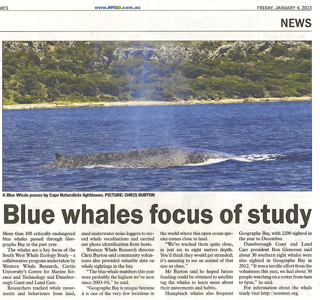 Busselton Dunsborough Times: “Blue whales focus of study” | SouWEST
